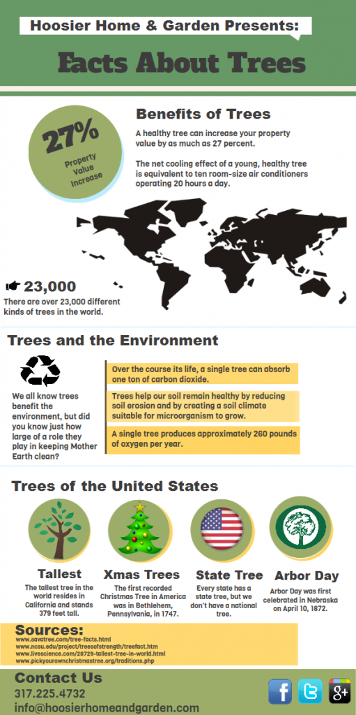 facts-about-trees – Hoosier Home & Garden